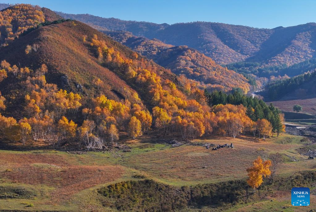 Autumn scenery of Daqingshan National Nature Reserve in China's Inner ...